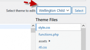 How to Edit The WordPress Header and Footer Filester Files